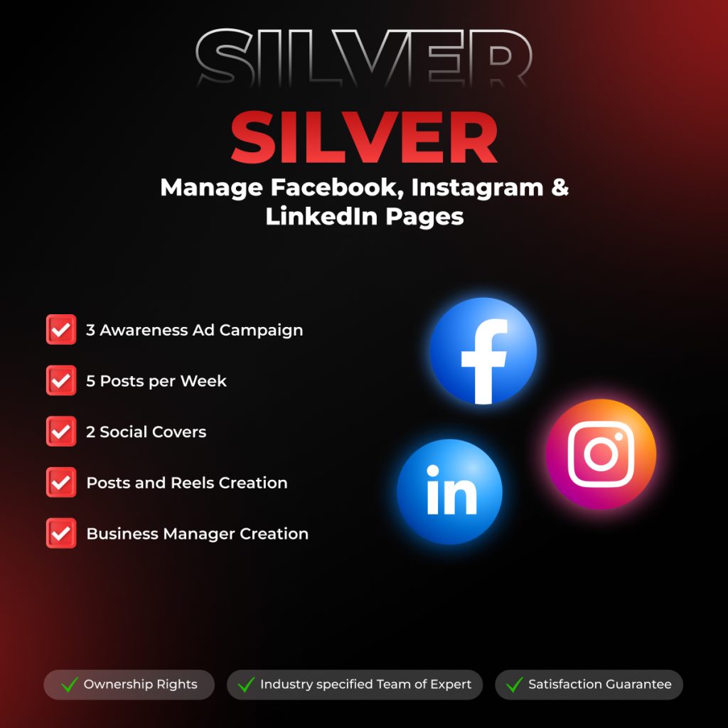 Social Media Silver – Apex Web Studios